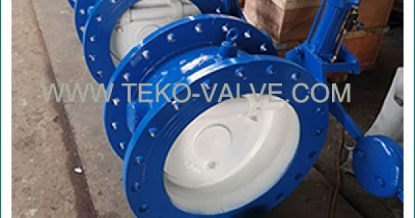 Ductile-Iron-Body-Quick-Closing-Silent-Tilted-Swing-Check-Valve-With ...