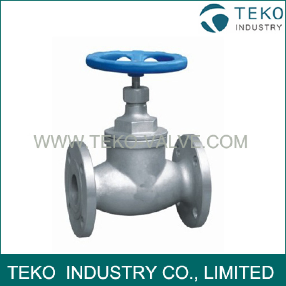 SCS 14 Stainless Steel Globe Valve