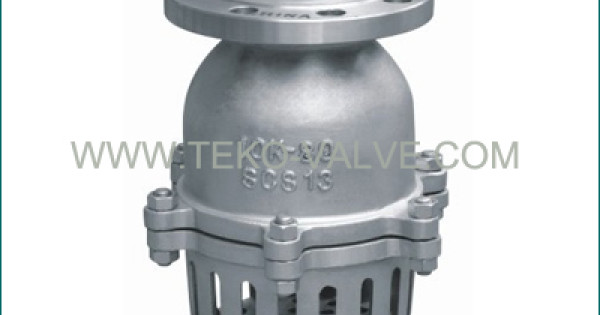 Swing-Type-Foot-Valve-Front-600x315w.jpg
