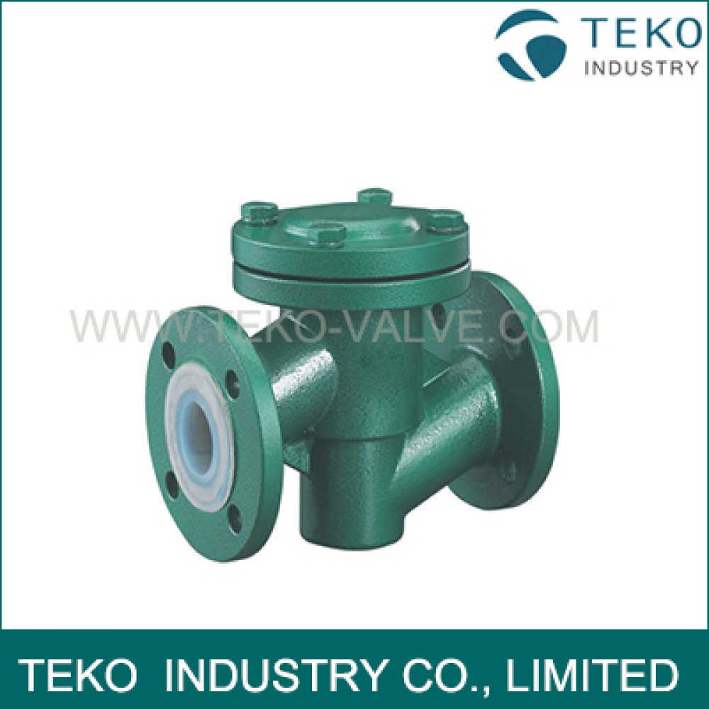 Acid Resisitant Vertical Lift Non Return Valve