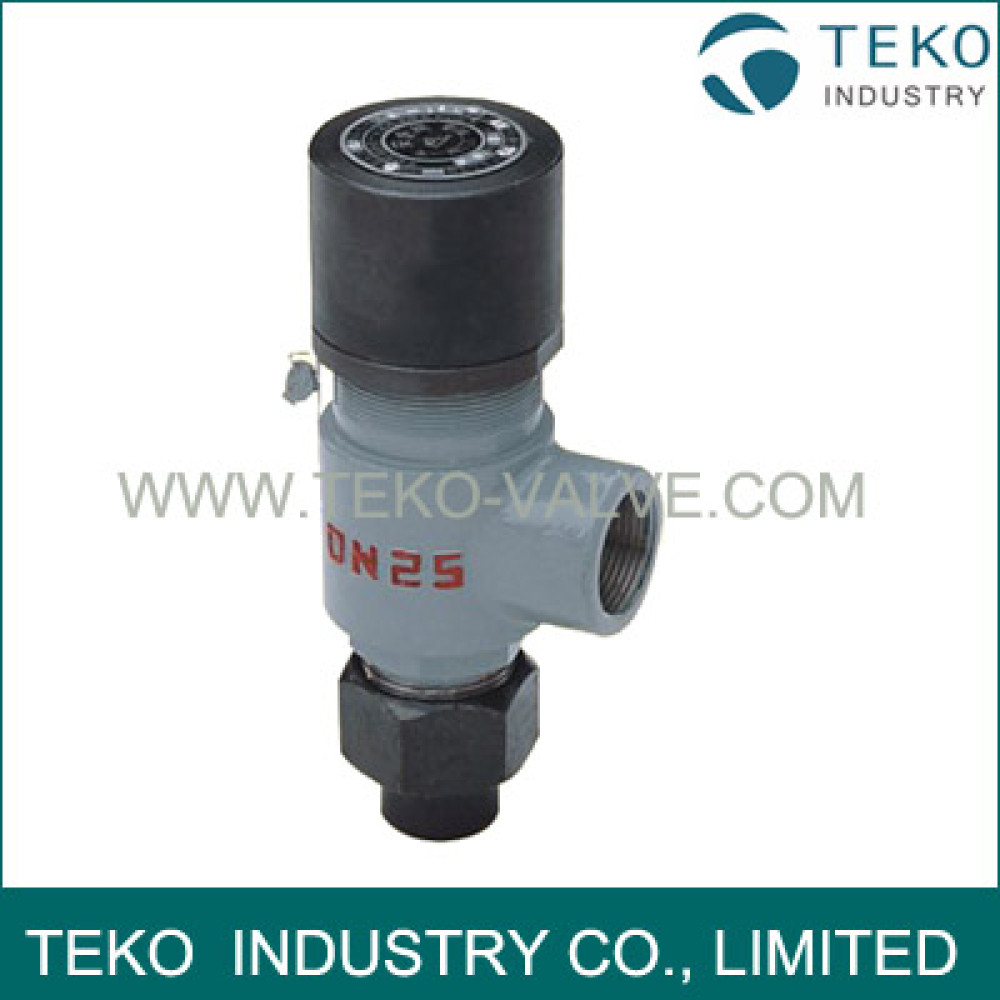 Spring loaded Thread Safety Valve